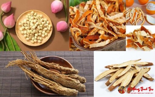 An cung ngưu hoàng hoàn thành phần thiên nhiên - KWANGDONG - An cung ...